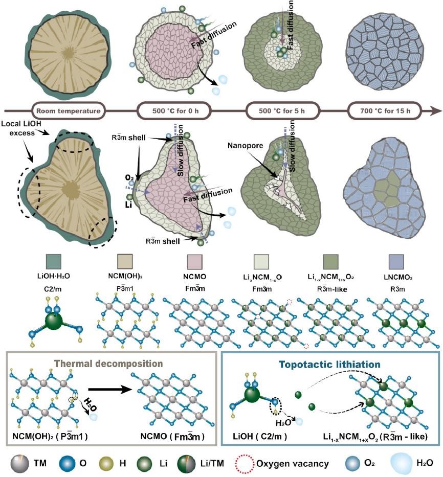 纳米科学与技术研究中心袁帅/赵尹在《Angewandte Chemie International Edition》上发表最新研究成果-上海大学理学院